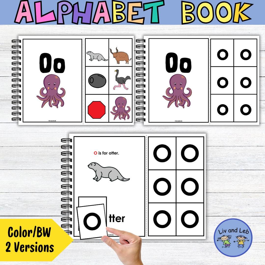 Interactive Alphabet Book for Beginning Sounds – Adapted ABC Book ...