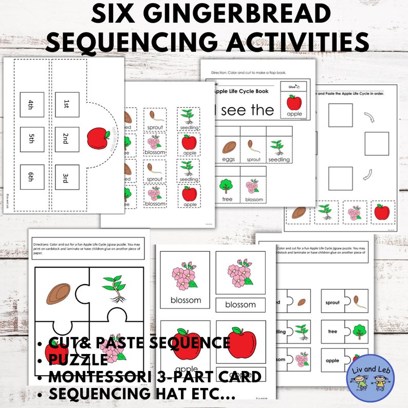 Apple Life Cycle Kids Craft - Etsy