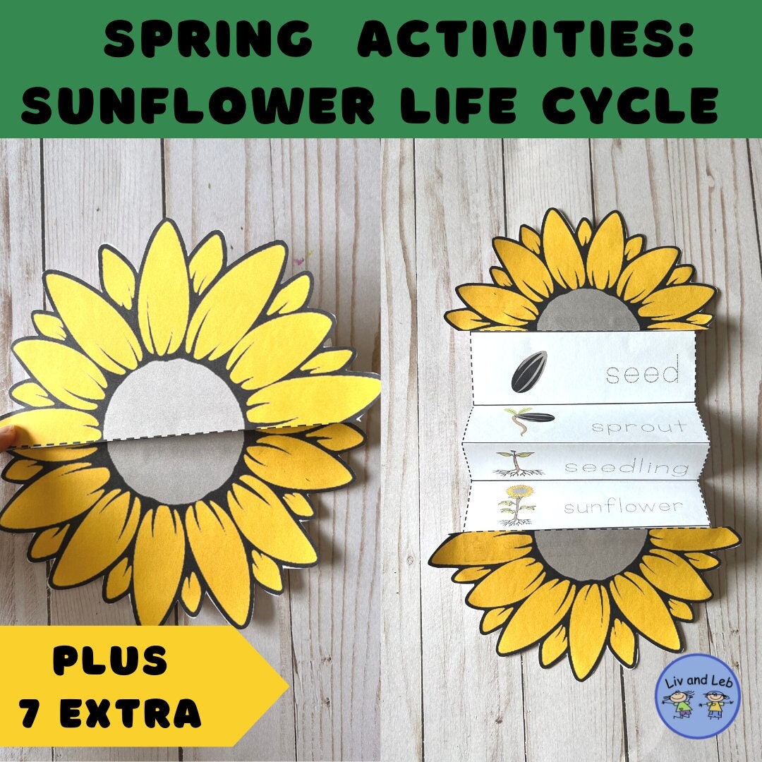 Plant Life Cycle Sunflower Craft Spring Crafts - Etsy