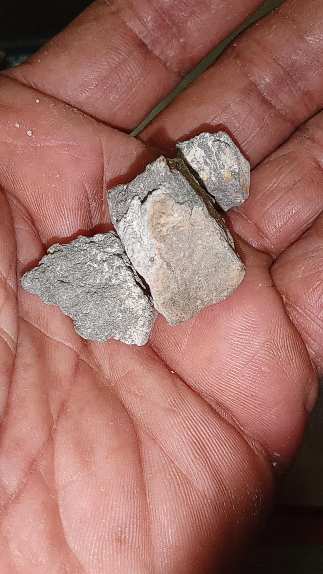 Natural Sylvanite - Silver Chloride & Gold Oxides - Mineralized Vien ...