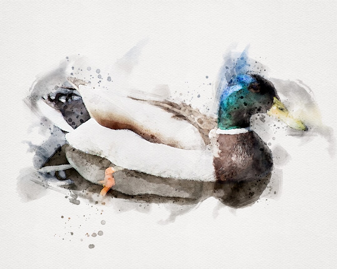 MALLARD DUCK Digital Print, Mallard Painting, Printable Bird Print ...
