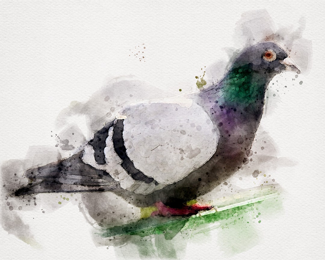 PIGEON Art Print, Printable Bird Print, Pigeon Painting, Pigeon Print ...