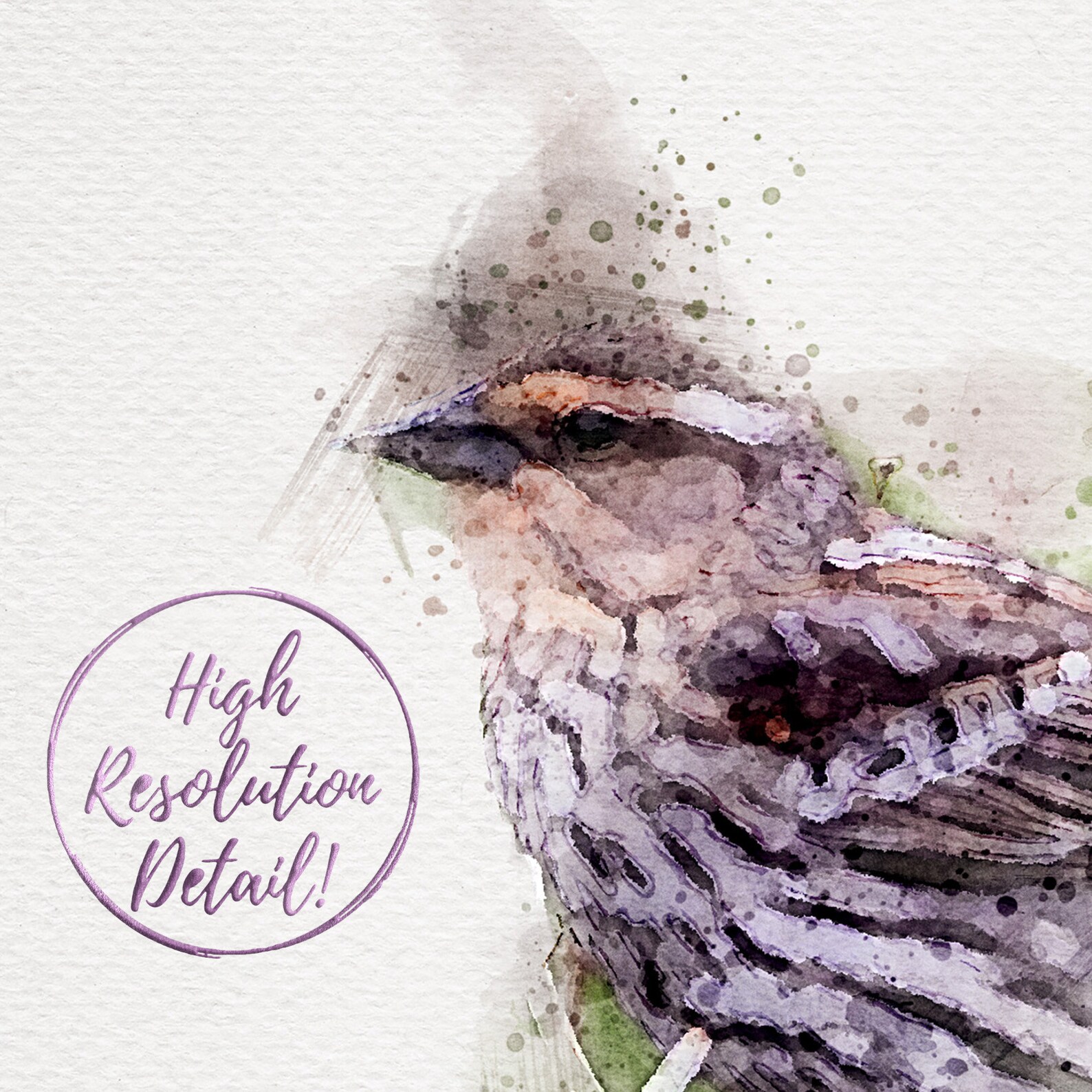 FINCH Painting Finch Print Finch Watercolor Painting - Etsy