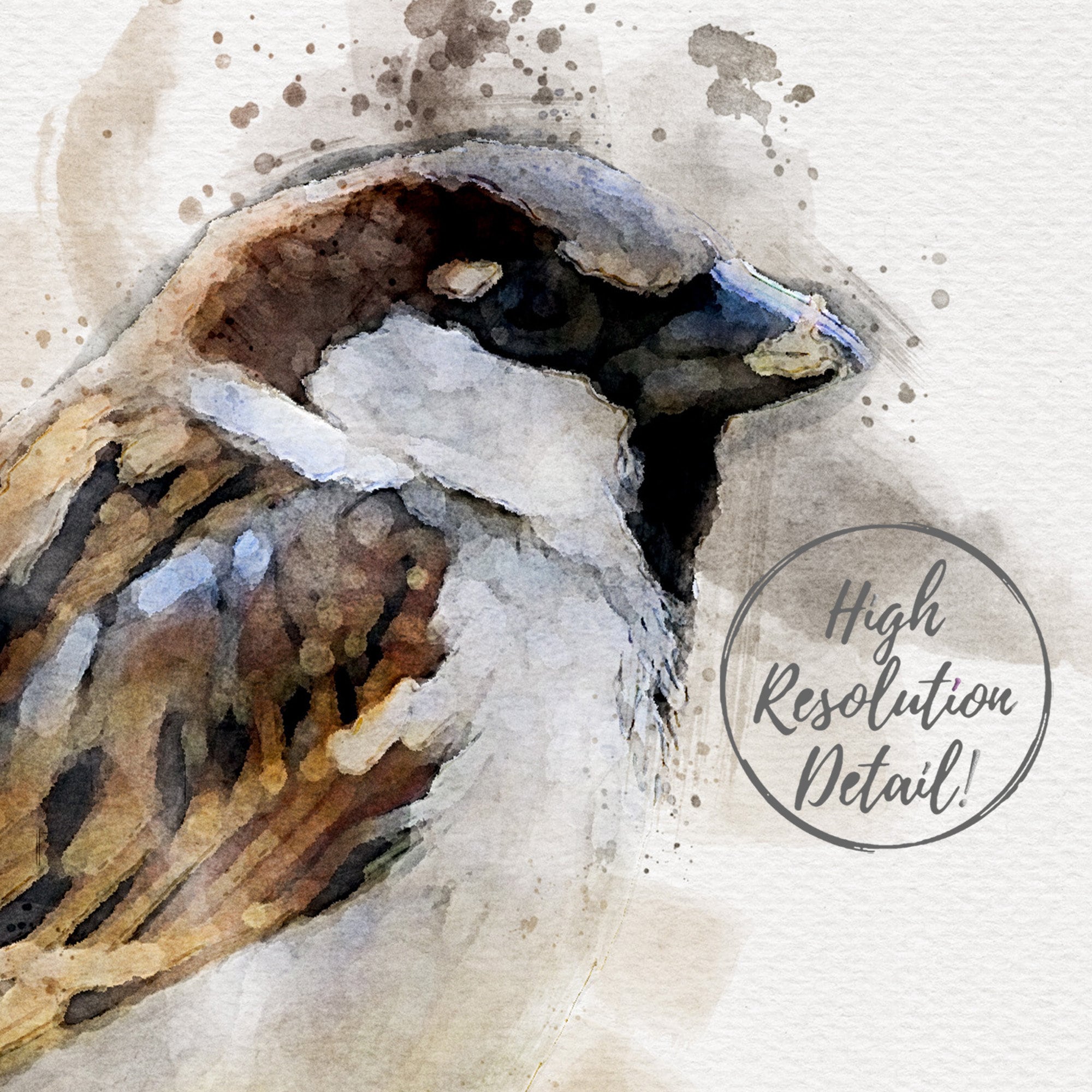 SPARROW Watercolor Painting Sparrow Print Horizontal Bird - Etsy