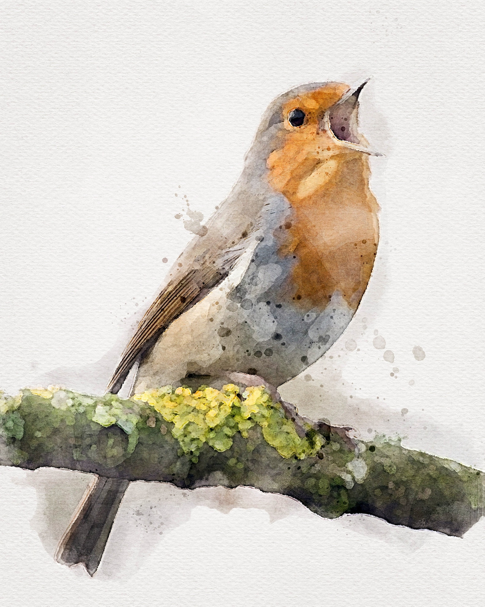 ROBIN Artwork Robin Watercolor Bird on Branch Robin - Etsy