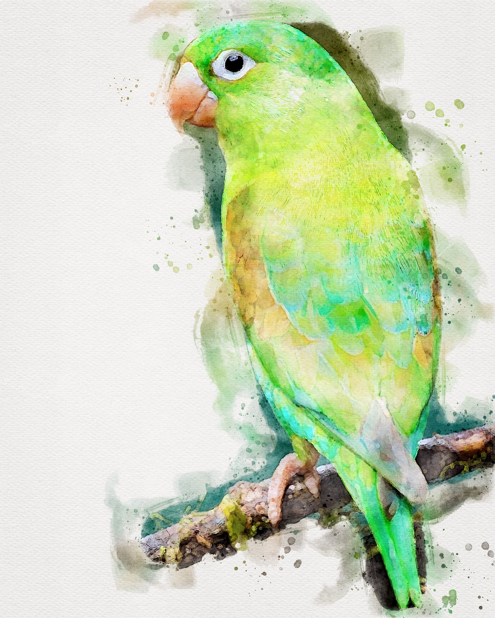 GREEN PARROT on a Branch, Green Parrot Wall Art, Parrot Painting ...
