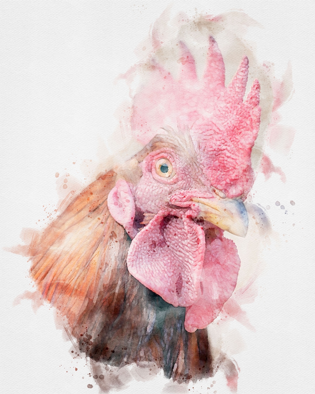 Printable Chicken Watercolor Art, Chicken Watercolor Art, Chicken ...