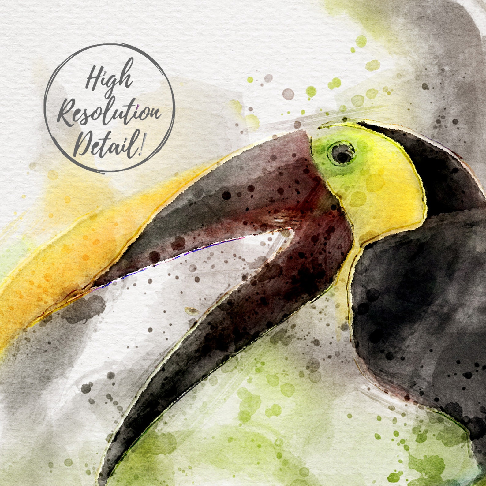 TOUCAN Digital Download, Horizontal Bird Art, Printable Bird Prints ...