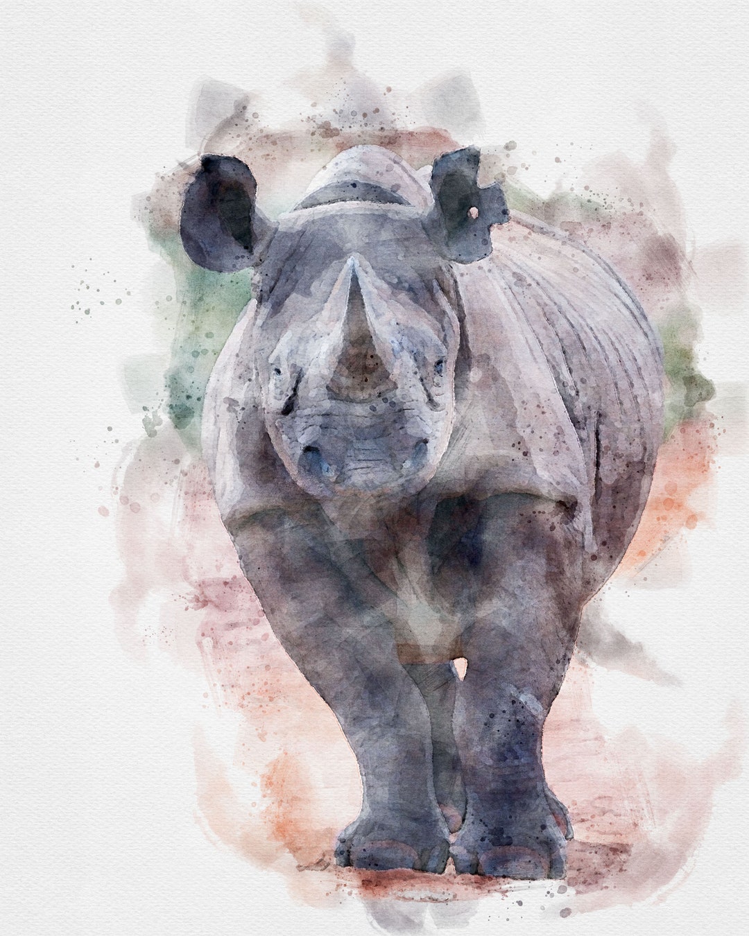 Rhino Watercolor Safari Art, Rhino Watercolor Art, Rhino Watercolor Art ...