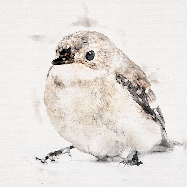 Mockingbird Print - Etsy