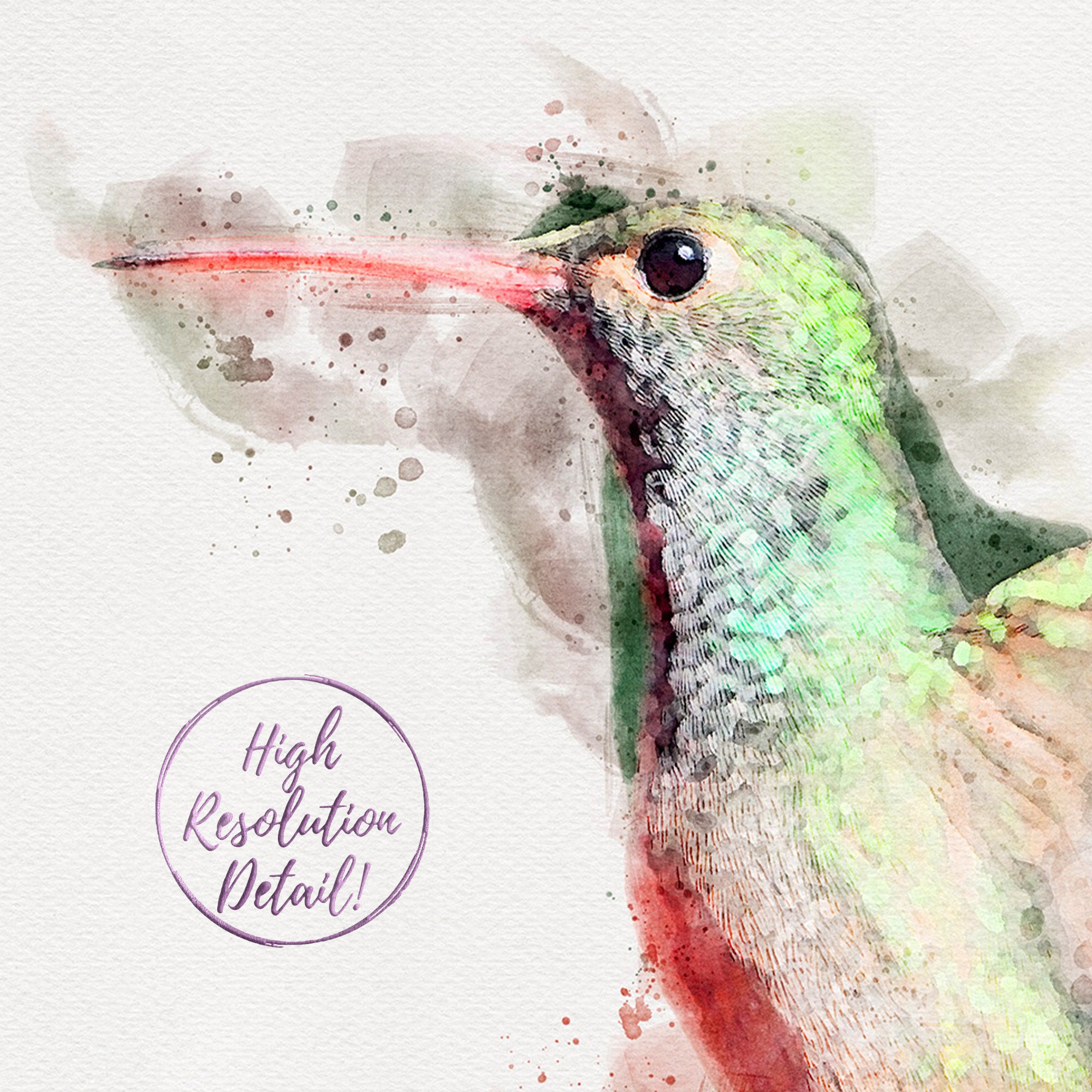 Colorful Hummingbird Watercolor Original Hummingbird Print - Etsy
