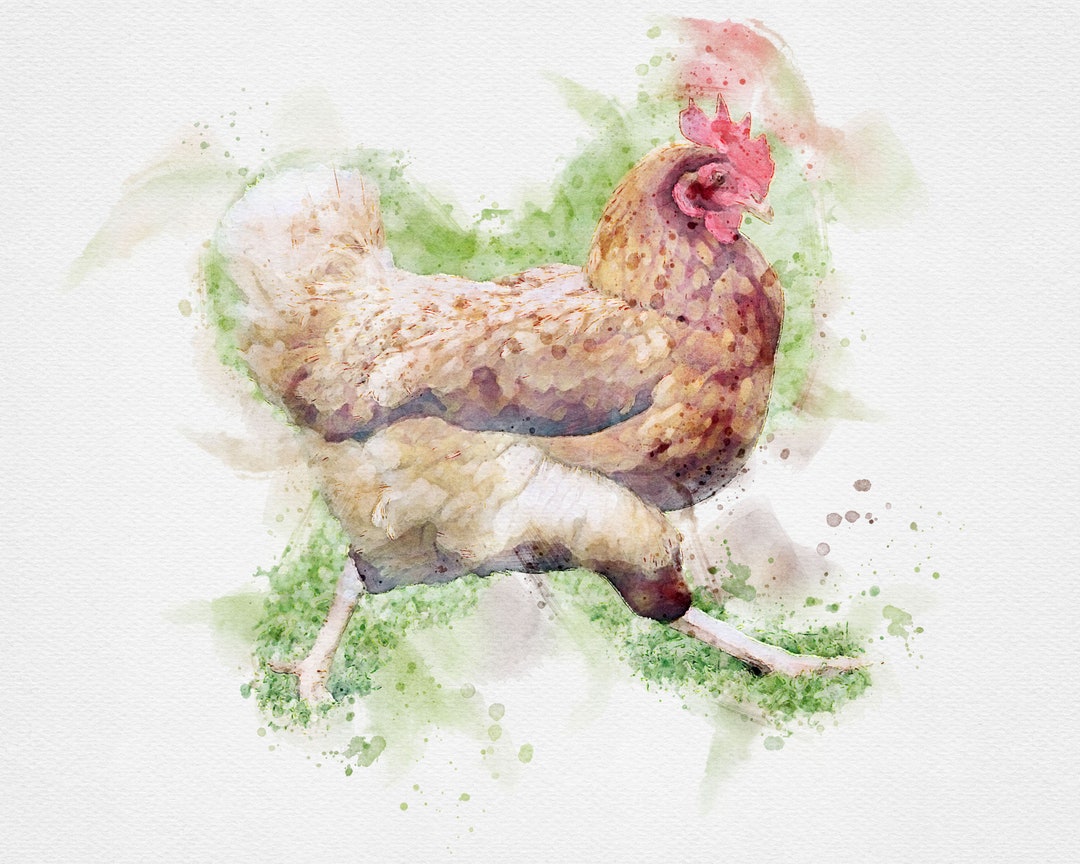 Printable Chicken Watercolor Horizontal, Watercolor Hen, Watercolor ...