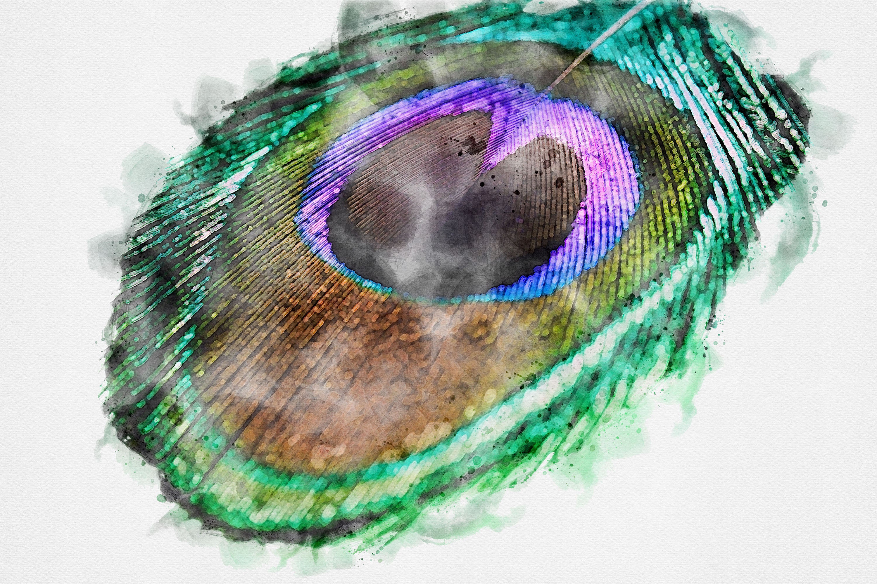 Printable Peacock Feather Watercolor Art Peacock Watercolor - Etsy