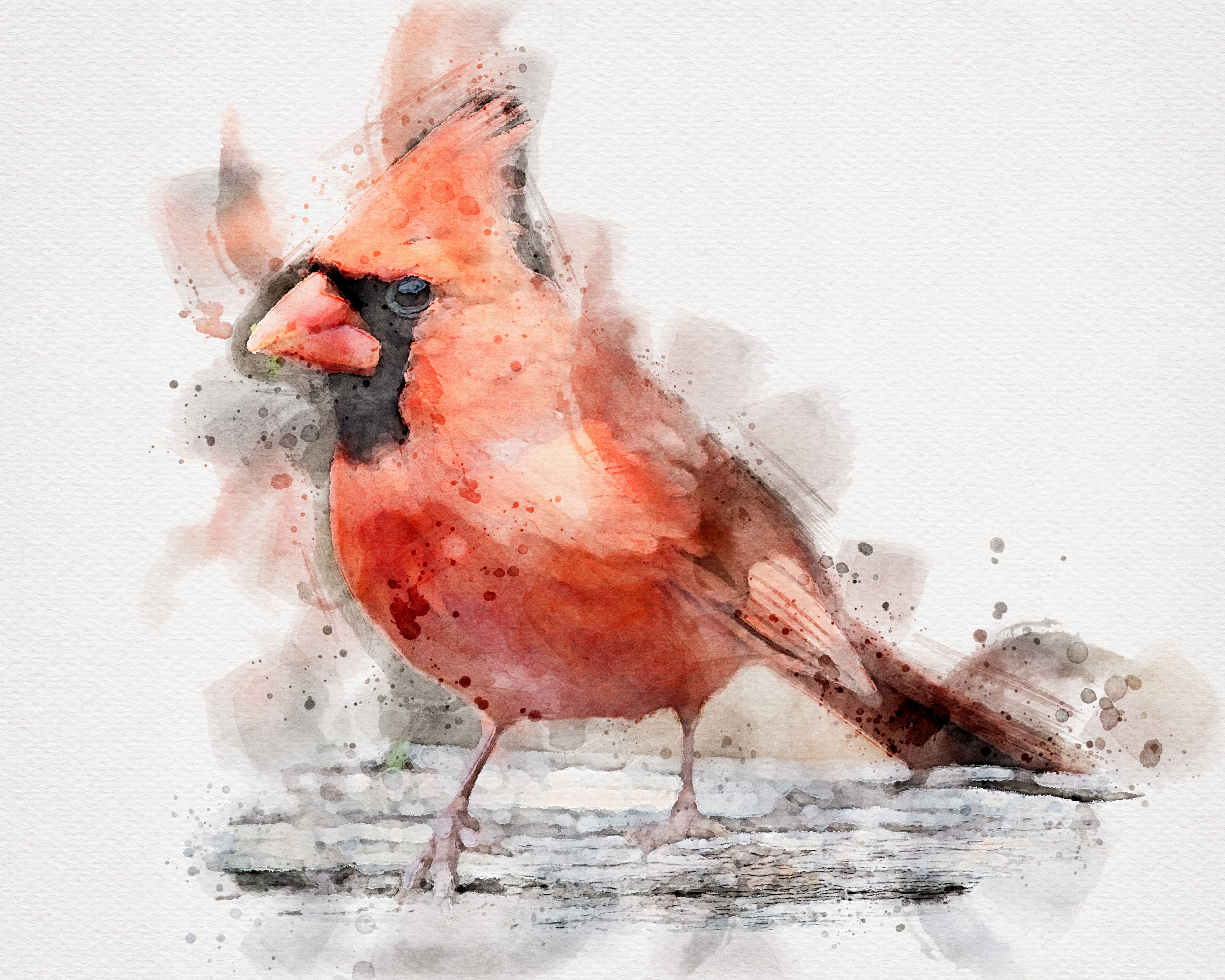 CARDINAL Watercolor Original Cardinal Painting Cardinal - Etsy