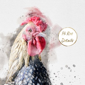 Chicken Hen Watercolor Art Print Download, Colorful Chicken Watercolor ...