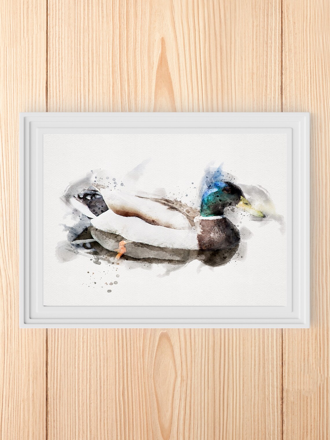 MALLARD DUCK Digital Print Mallard Painting Printable Bird - Etsy