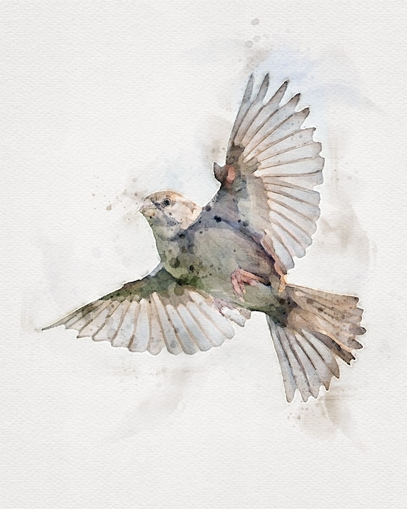 Watercolor Birds Flying