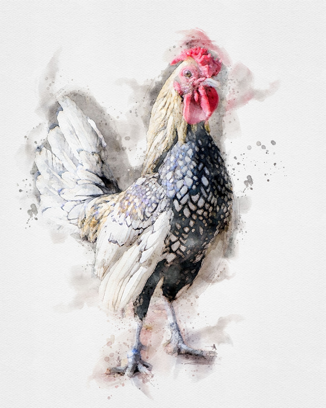 Chicken Hen Watercolor Art Print Download, Colorful Chicken Watercolor ...