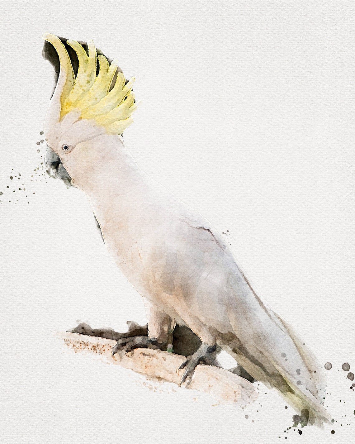 COCKATOO Painting, Cockatoo Print, Printable Bird Wall Art, Watercolor ...