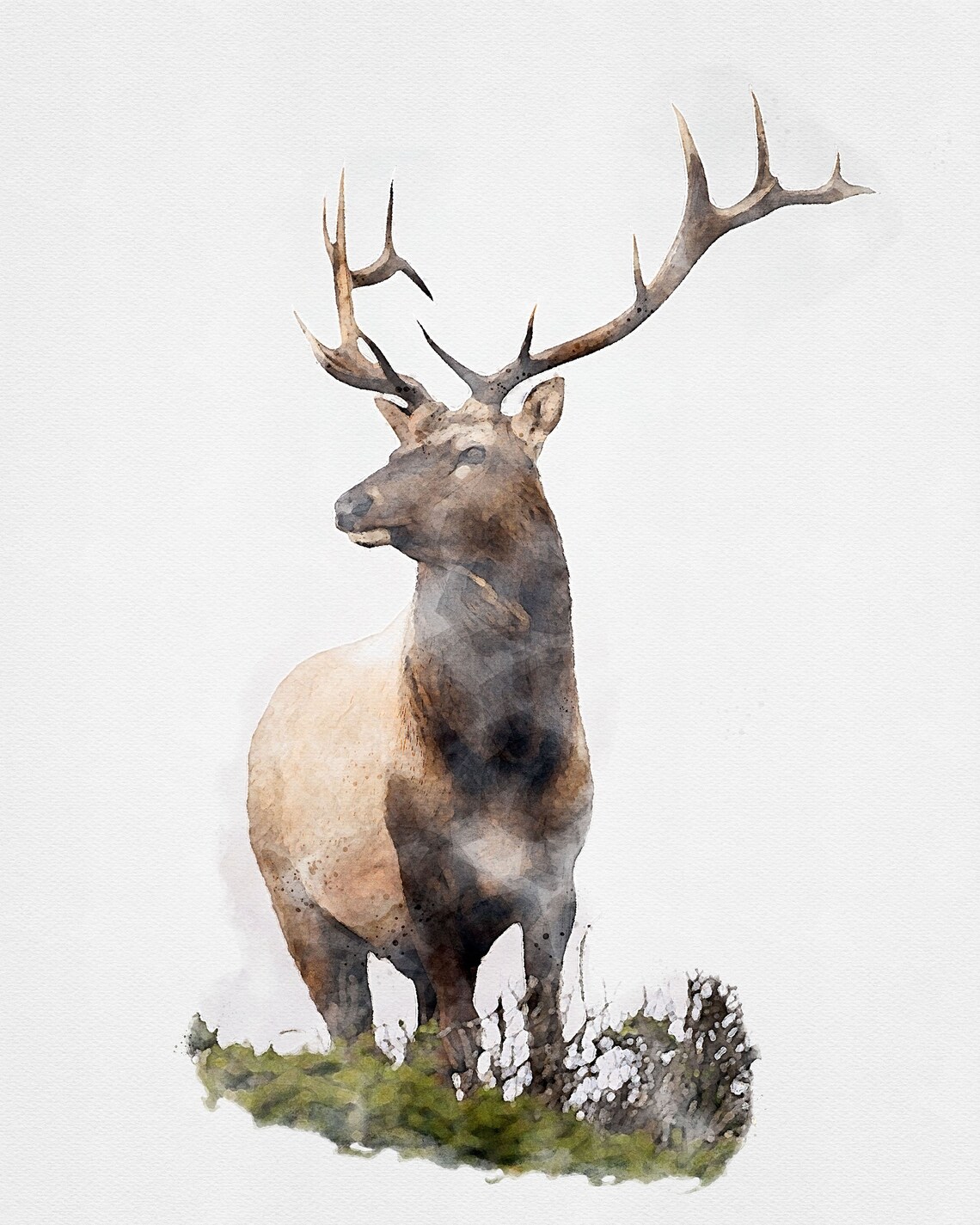 Elk Watercolor Art, Printable Elk Decor, Elk Painting, Wildlife ...