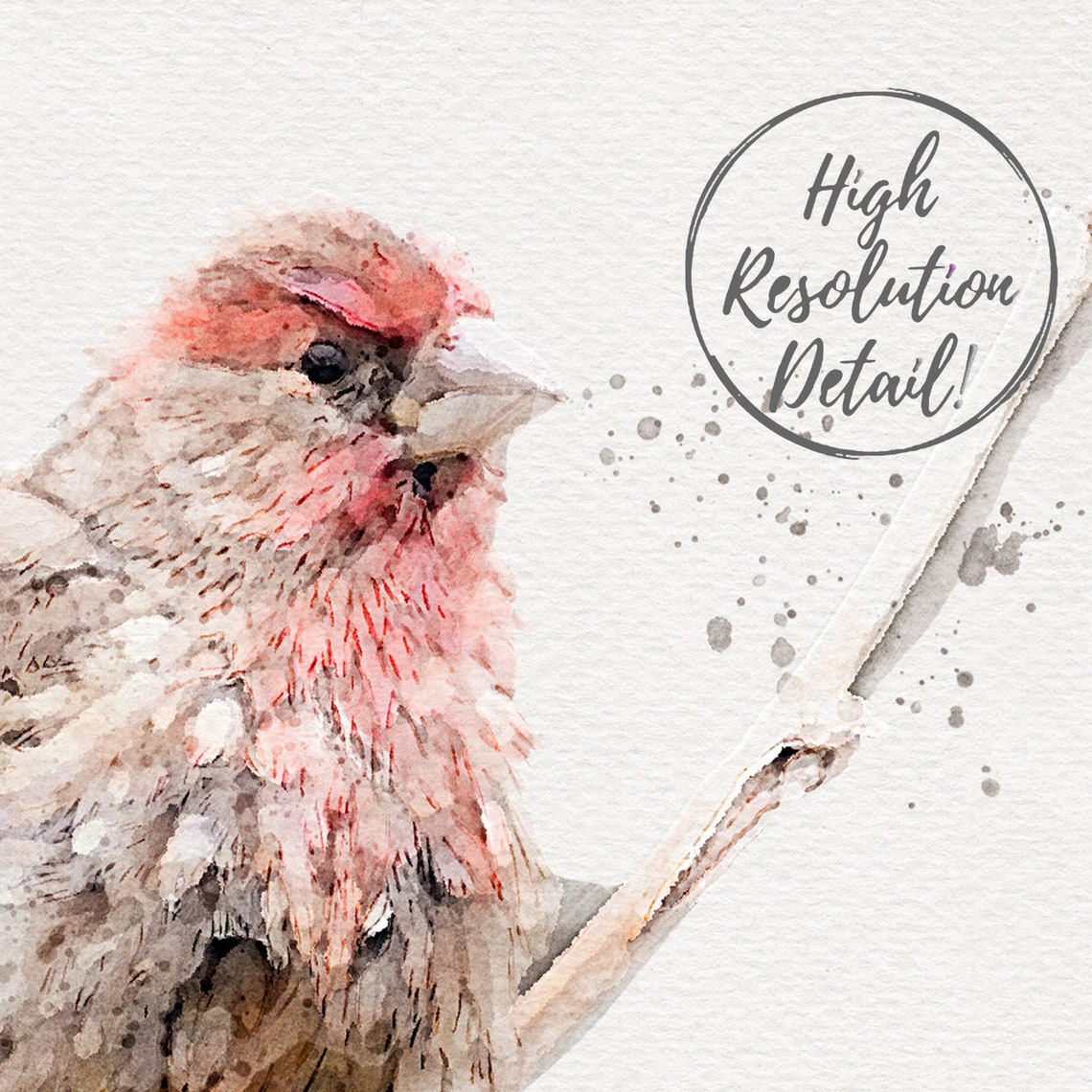 FINCH Art Finch Watercolor Painting Watercolor Bird - Etsy