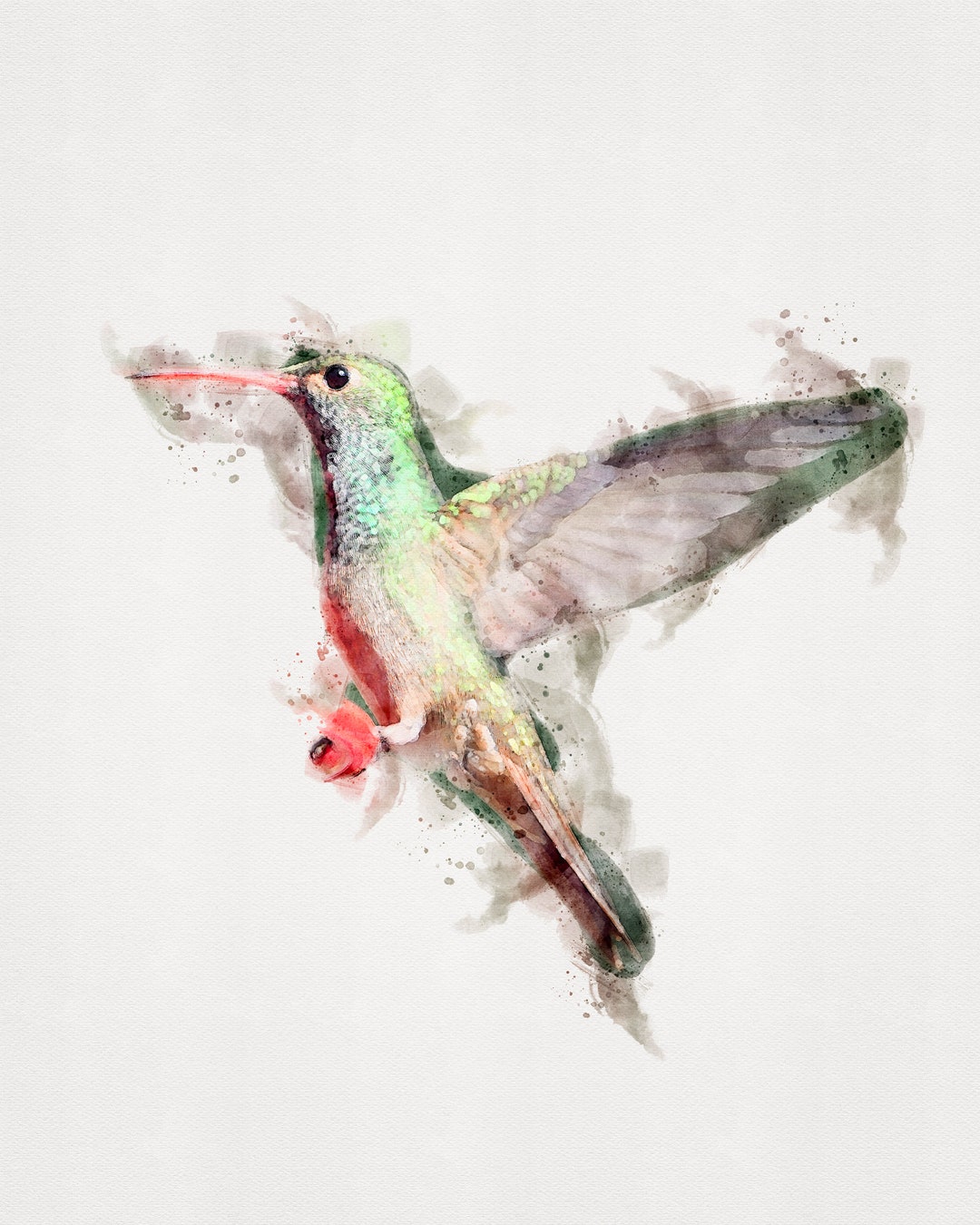 Colorful Hummingbird Watercolor Original, Hummingbird Print 8x10 ...
