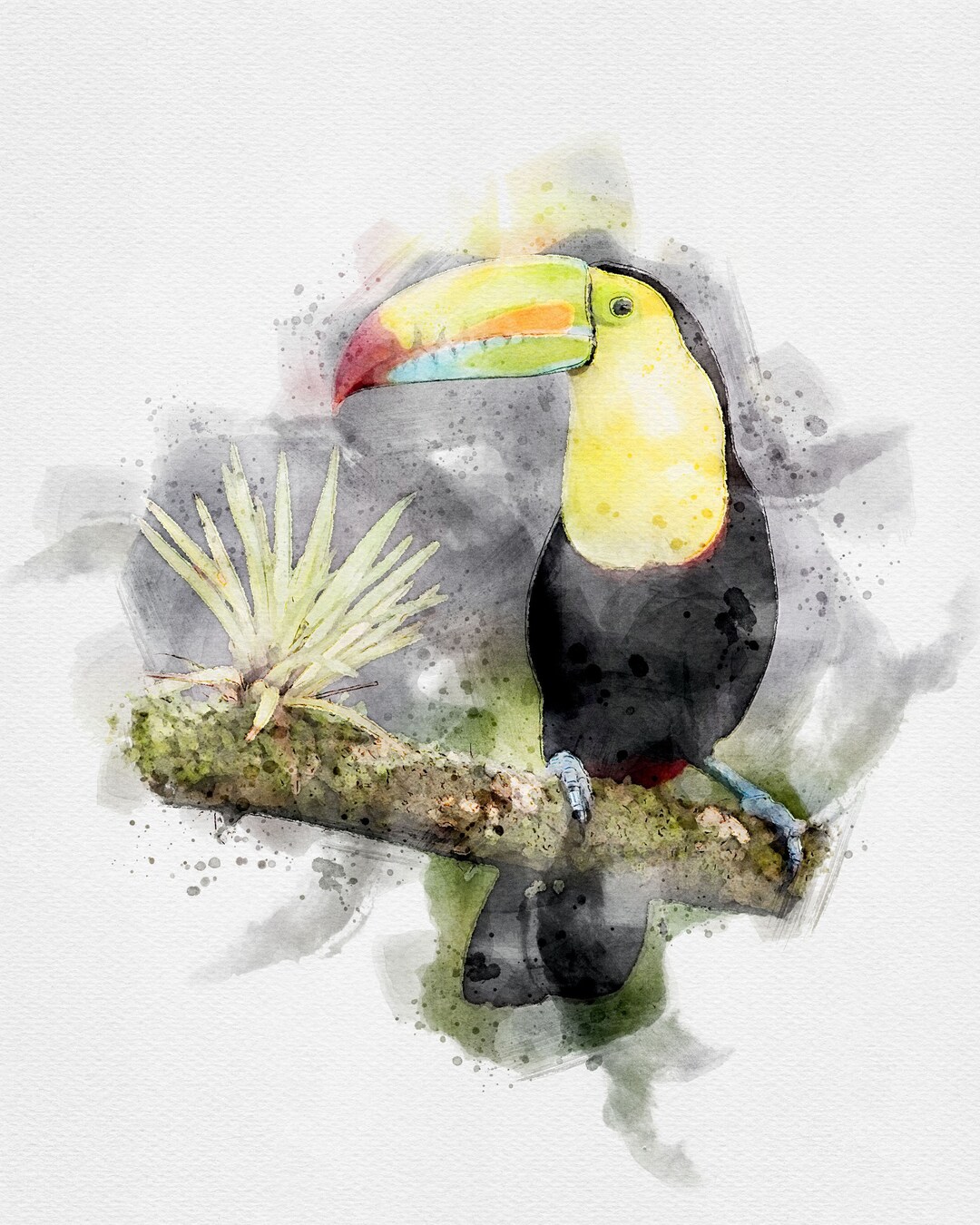 TOUCAN Watercolor Art, Printable Toucan Painting, Toucan Painting ...
