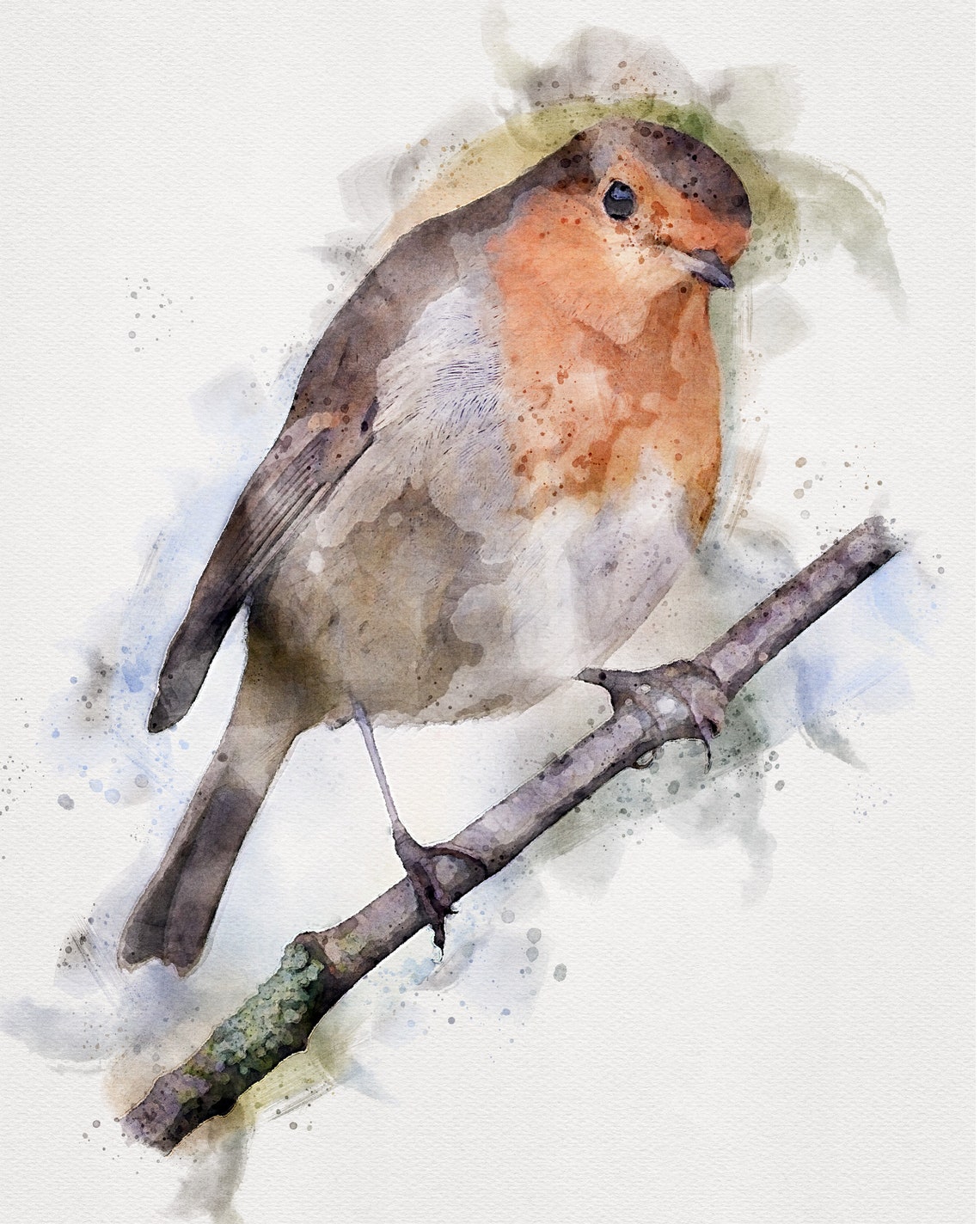 ROBIN Bird on Branch Artwork Robin Painting Robin Artwork - Etsy UK