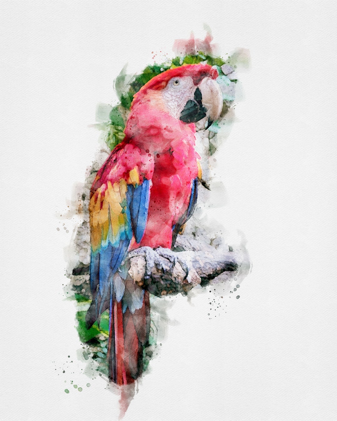 Tropical MACAW Watercolor Art, Printable Macaw Painting, Macawpainting ...