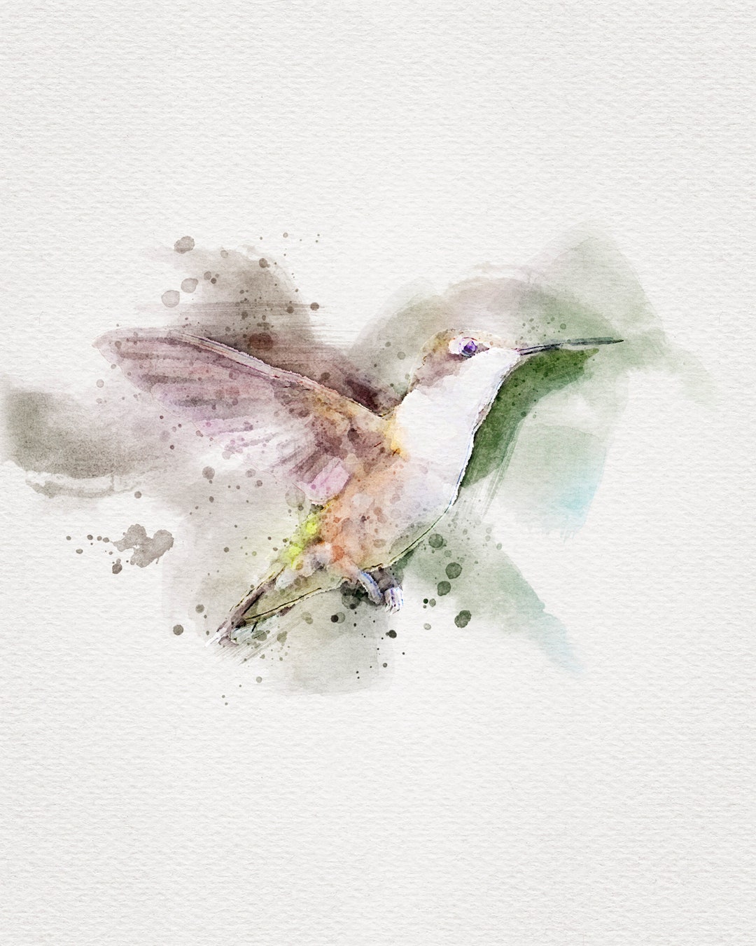 Hummingbird Watercolor Original, Watercolor Hummingbird Painting ...