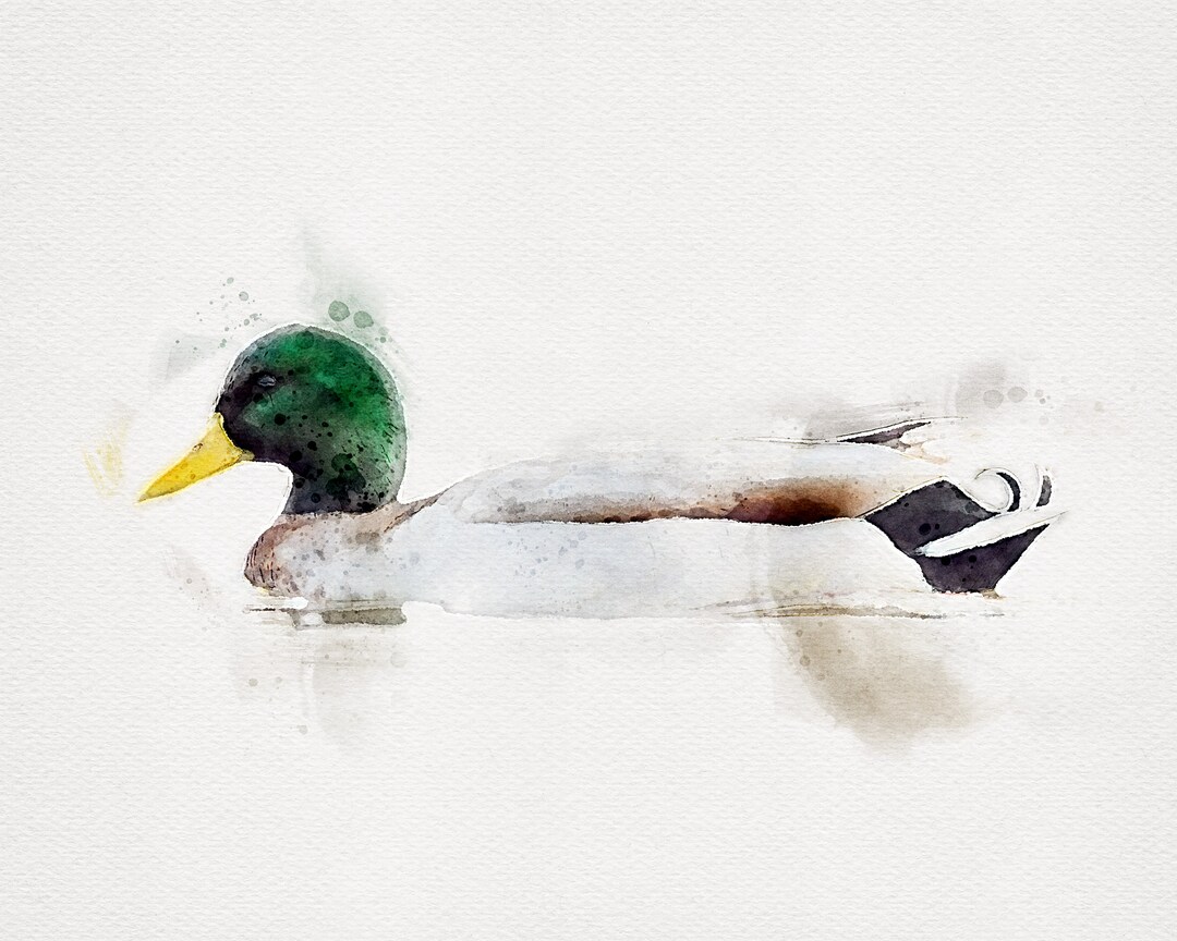 MALLARD DUCK Print, Mallard Duck Digital, Mallard Duck Painting, Duck ...