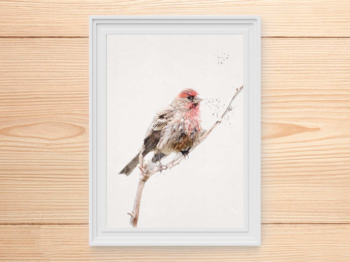 FINCH Art Finch Watercolor Painting Watercolor Bird | Etsy
