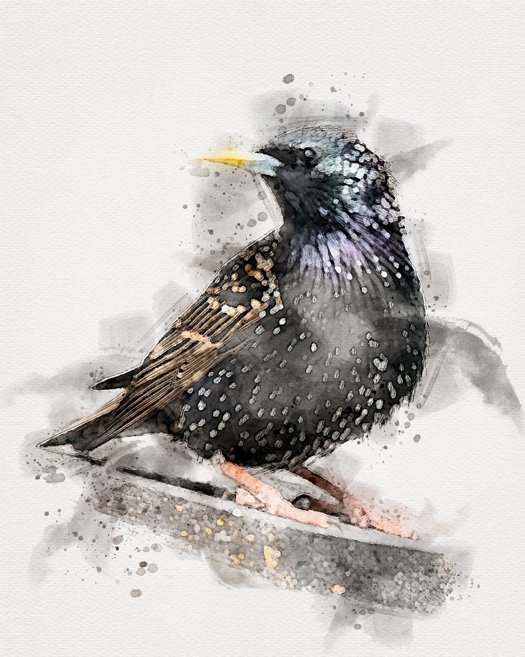 EUROPEAN STARLING Print, Starling Bird, Starling Art, Bird Painting ...