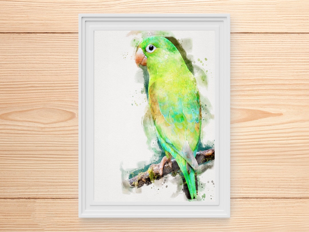GREEN PARROT on a Branch, Green Parrot Wall Art, Parrot Painting ...