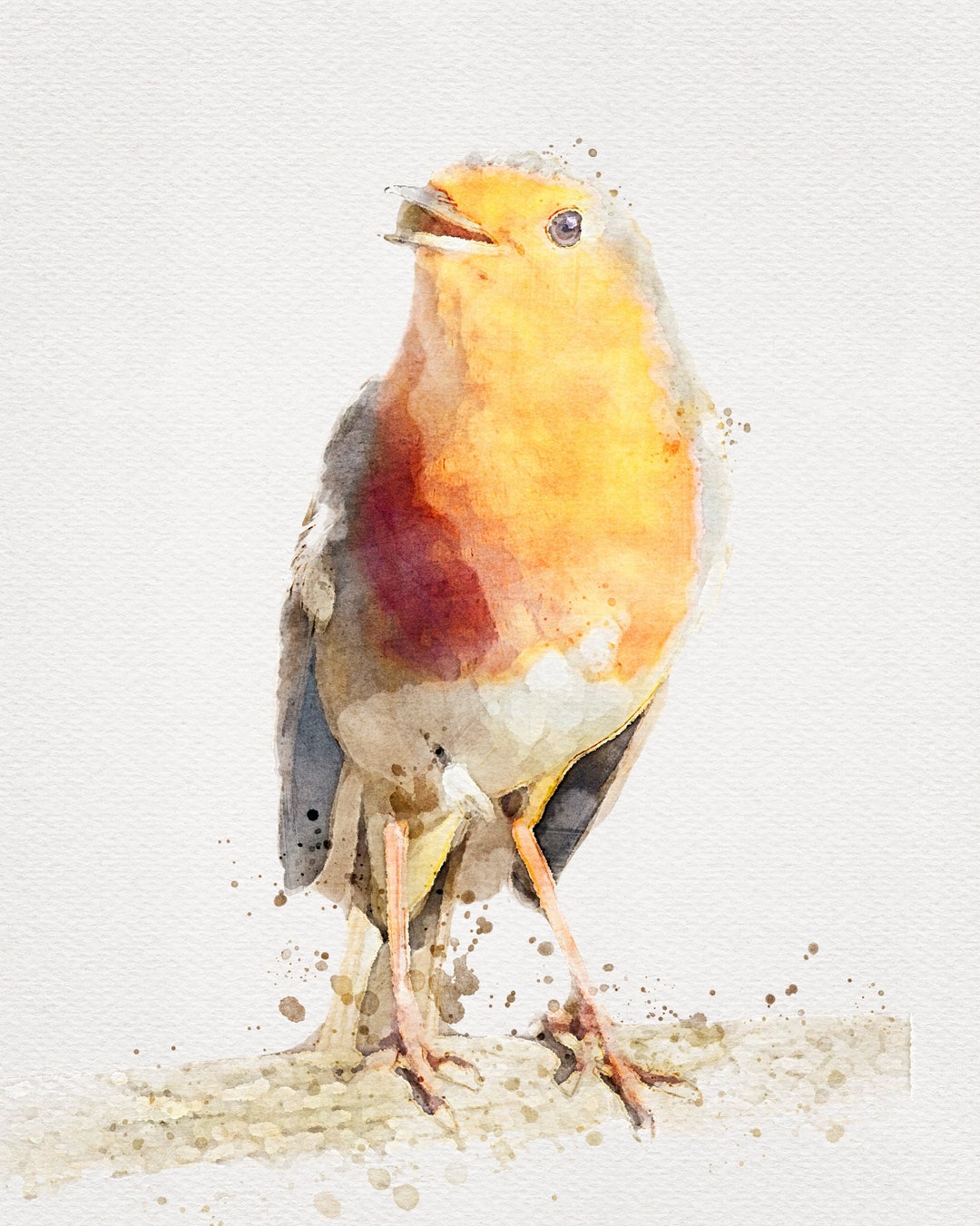 ROBIN Watercolor, Robin Painting, Robin Artwork, European Robin, Robin ...