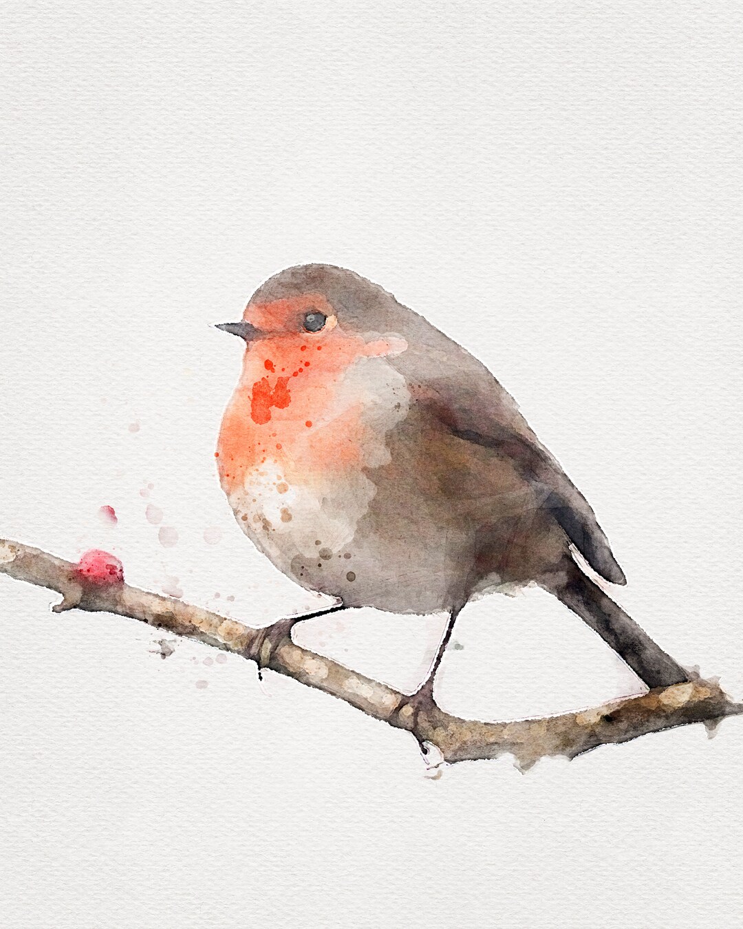 ROBIN Watercolor Bird on Branch, Robin Painting, European Robin, Robin ...