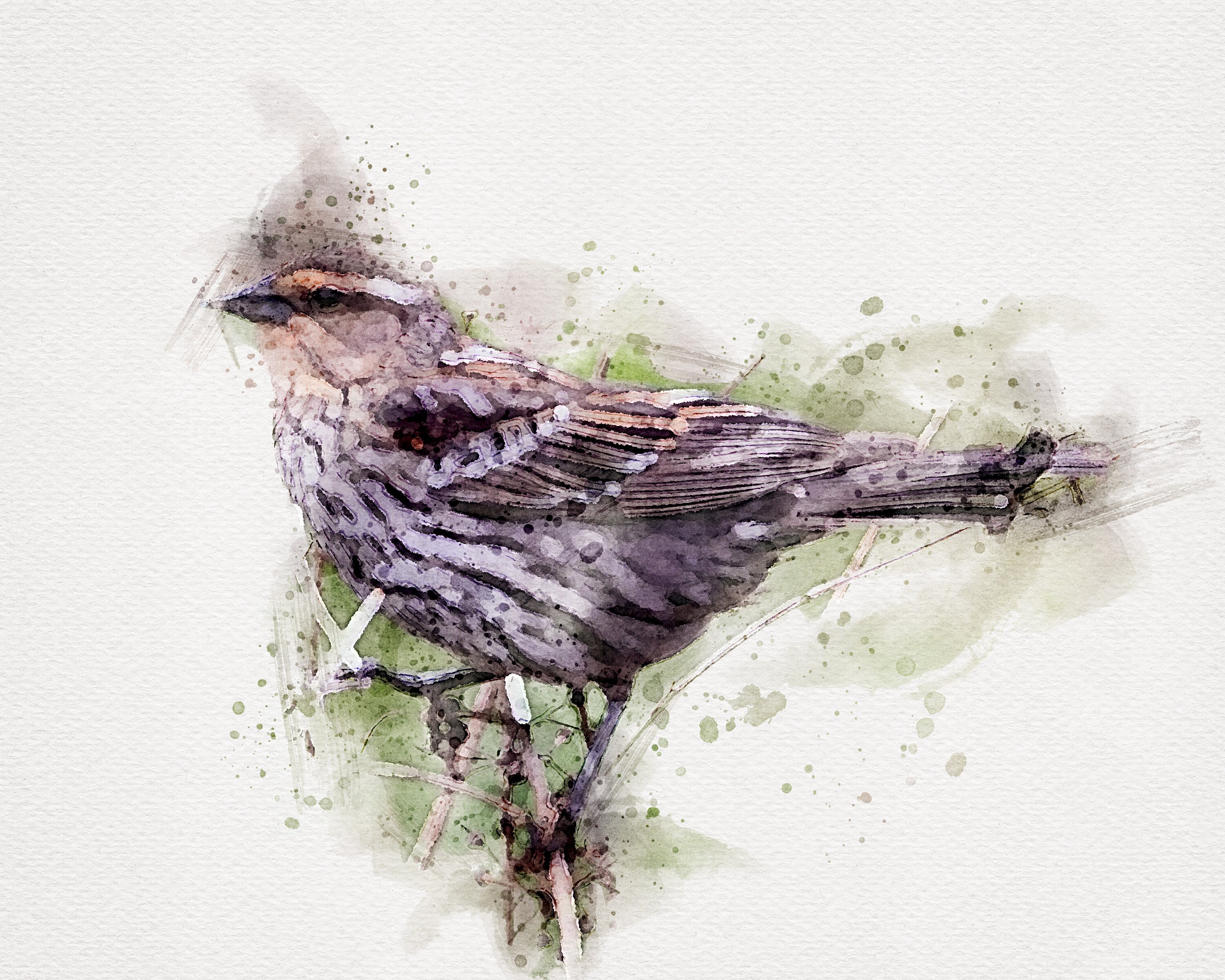 FINCH Painting Finch Print Finch Watercolor Painting | Etsy