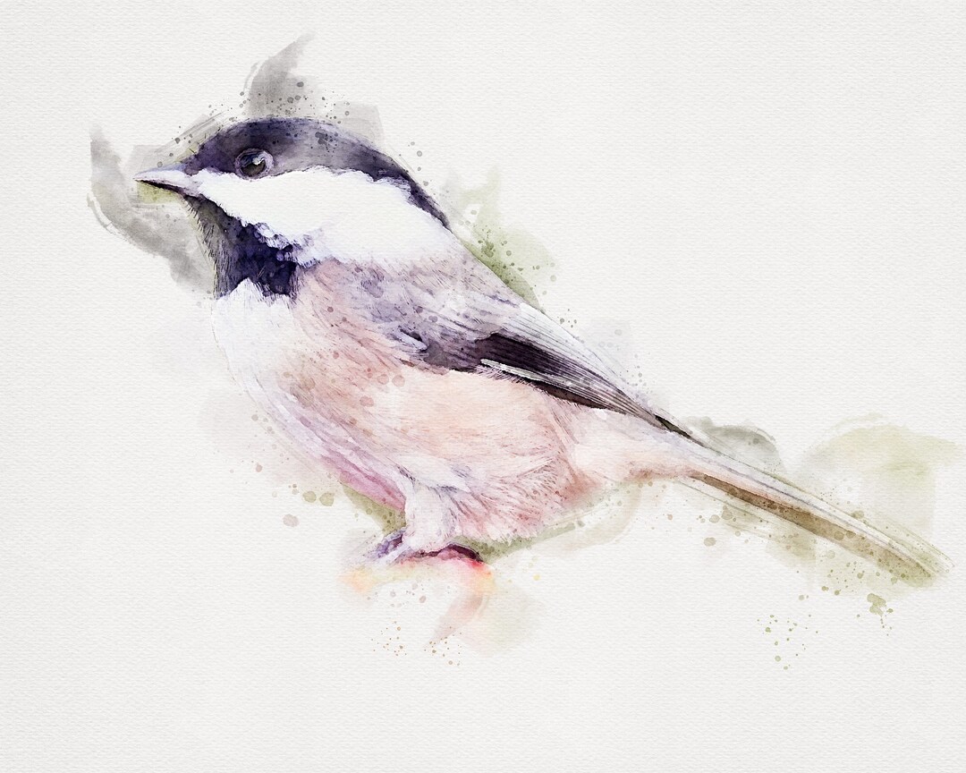 Printable CHICKADEE Painting, Chickadee Watercolor, Chickadee Painting ...