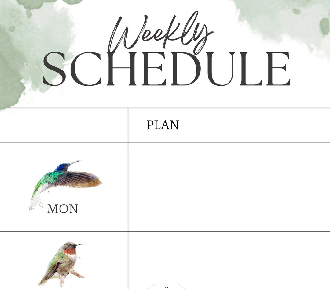 Printable Hummingbird Planner, Hummingbird Planner, Printable Planner ...