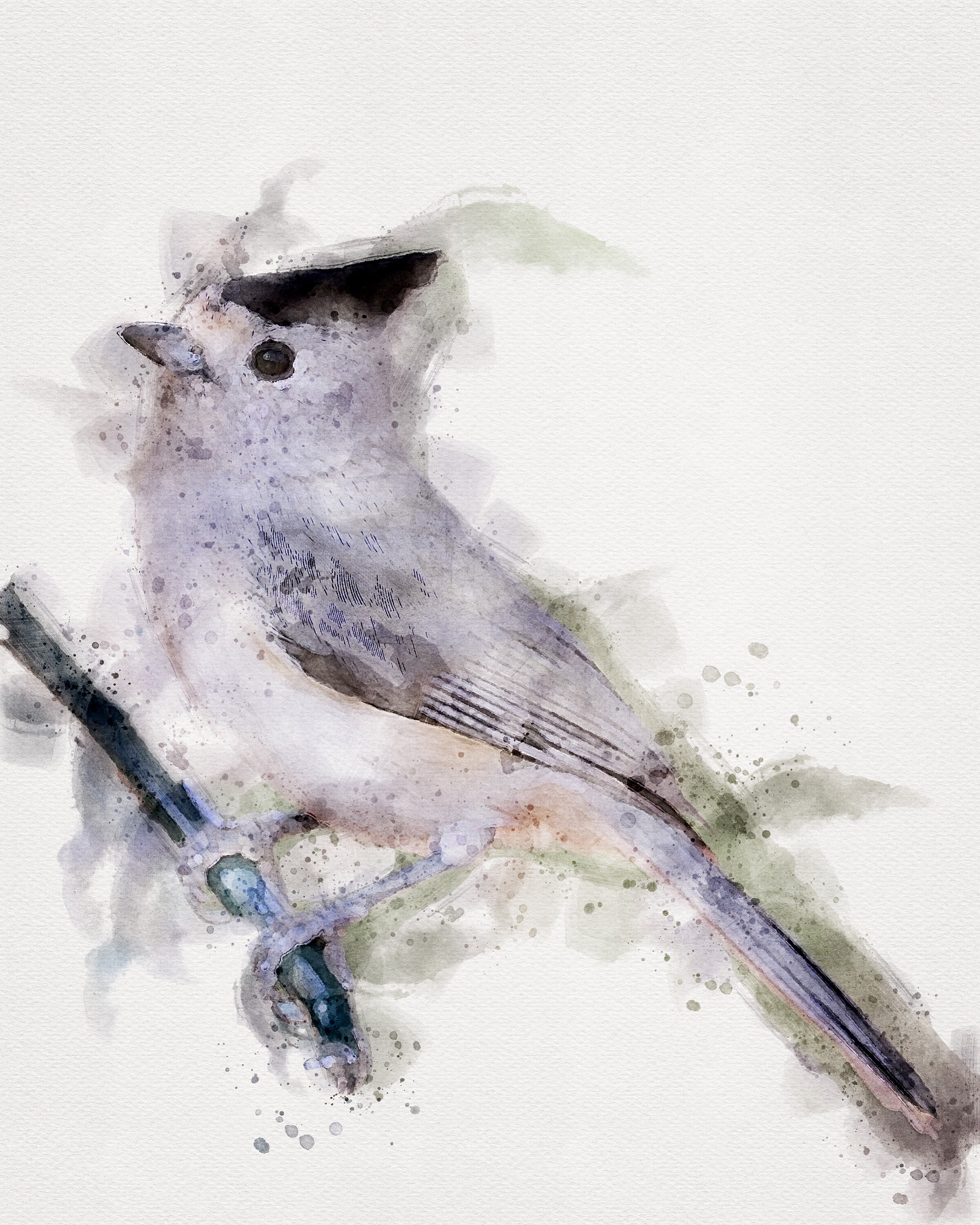 TUFTED TITMOUSE Watercolor Titmouse Painting Cute Bird - Etsy