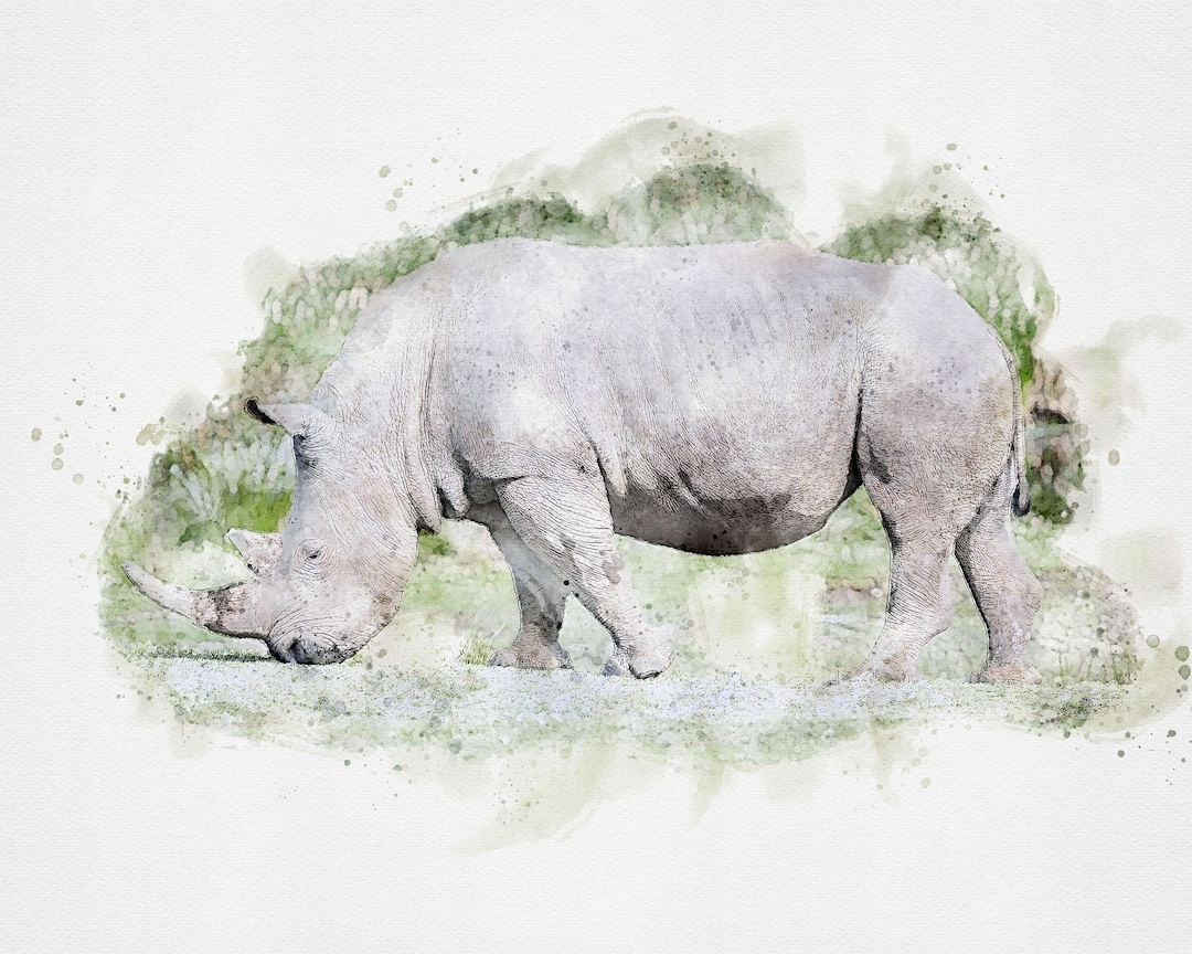 Printable Rhino Full Body Watercolor Art, Rhino Painting, Wildlife ...