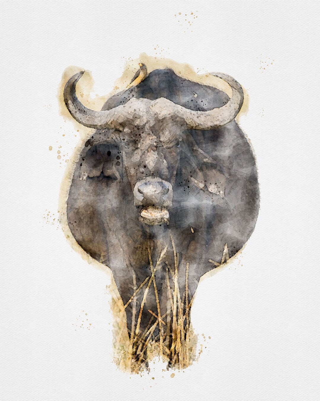 Cape Buffalo Watercolor Art, Buffalo Watercolor Art, Printable Buffalo ...