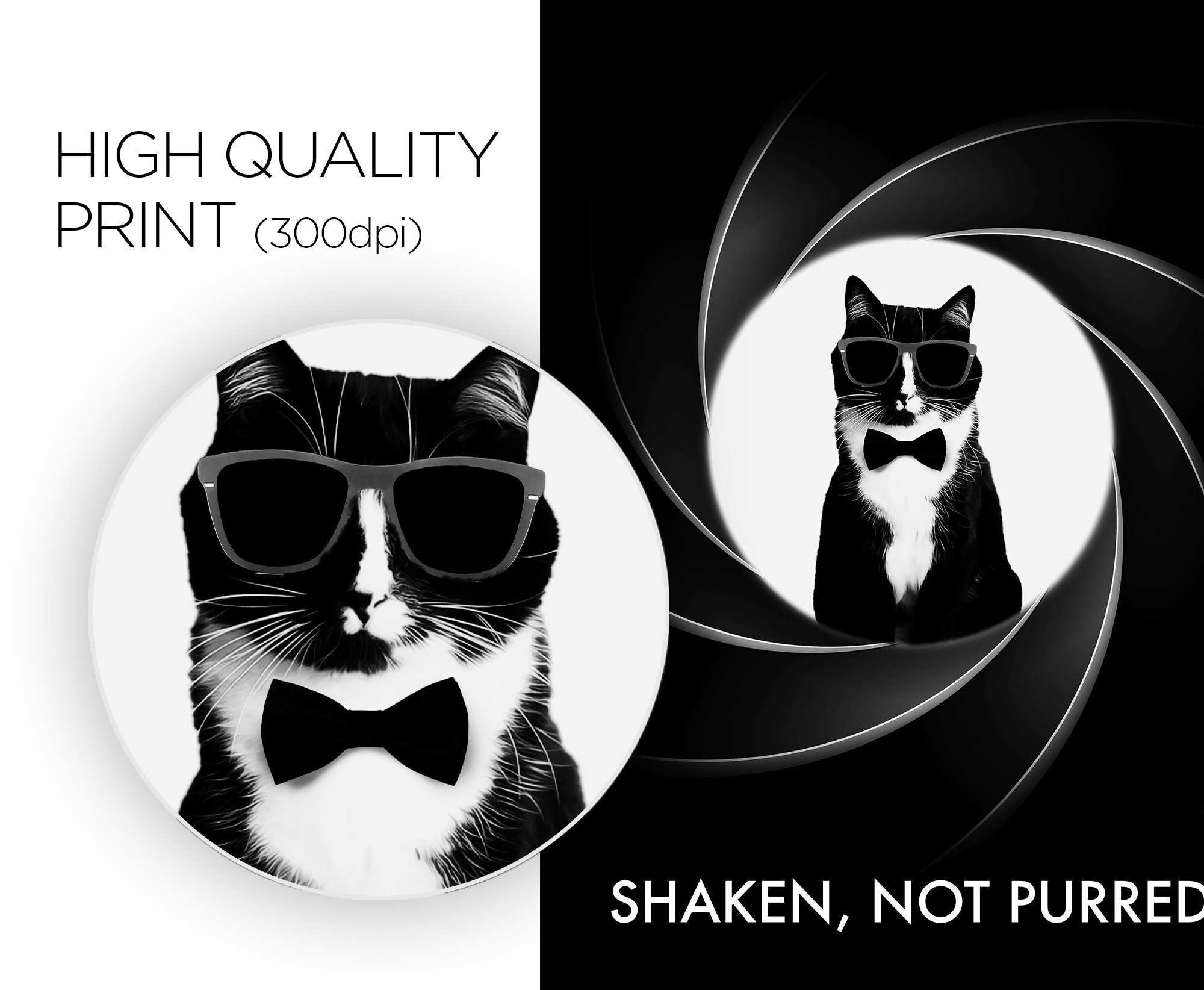 James Bond 007 Funny Movie Poster a Funny Custom Cat and Dog - Etsy