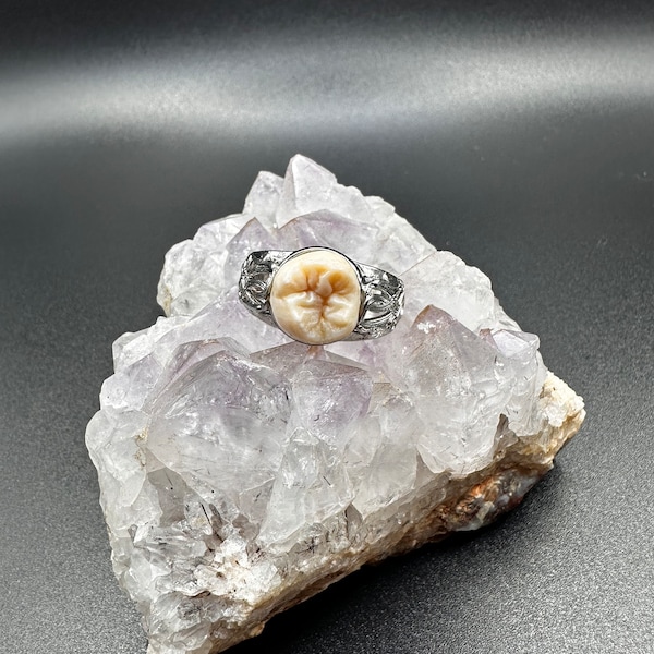 Tooth Ring - Etsy