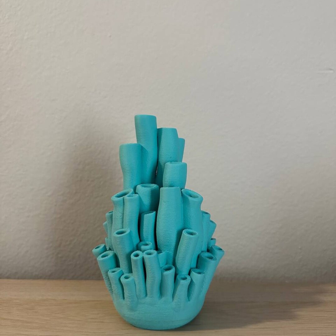Coral, Coral Vase Decor, Flower Vase, Beach Decor, 3D Printed Vase ...