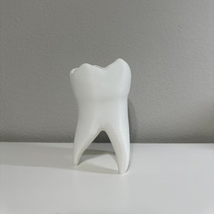 Tooth Shape Plant Pot - Cute Tooth Planter - Dentist Gift Ideas - Tooth ...