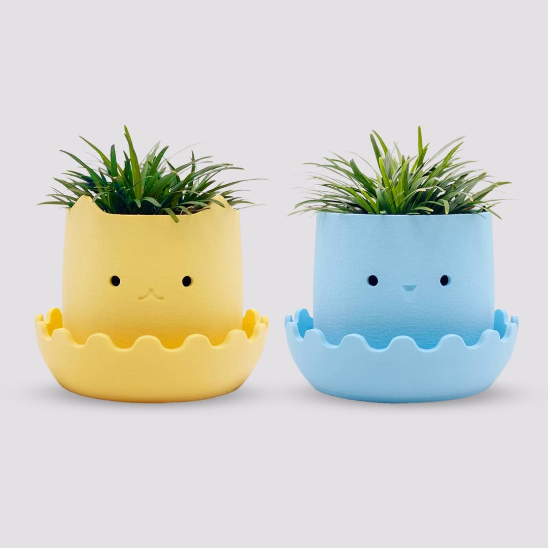 Crying Pots for Indoor Plants - Happy Plant Pot - Smiling Decor -cute ...