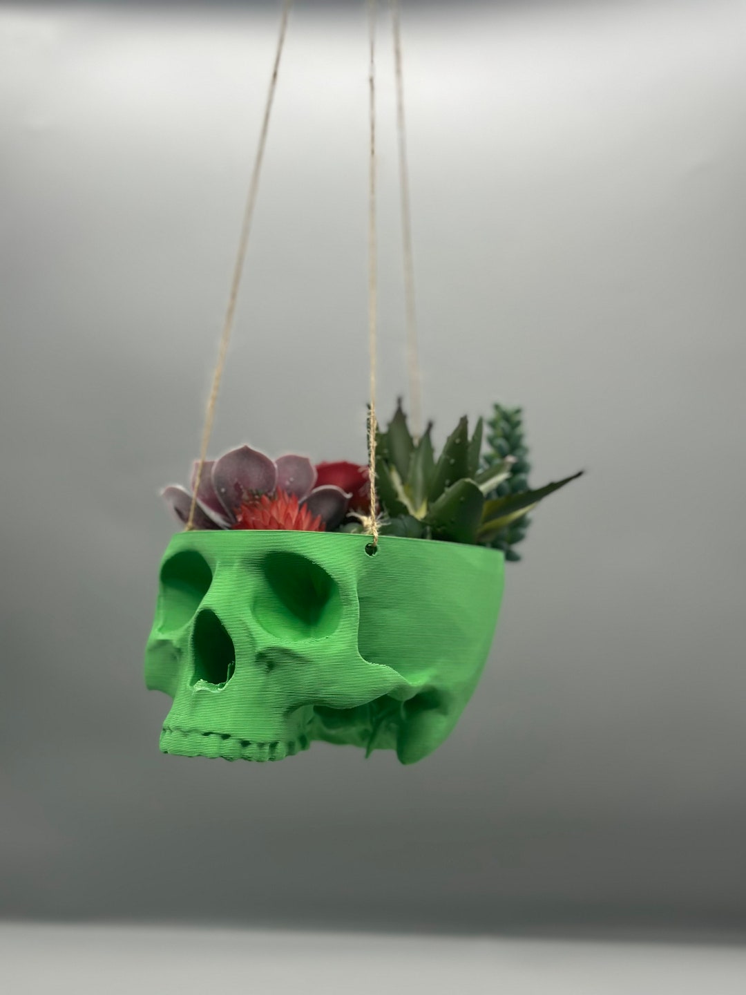 Skull Hanging Planter Pot Hanging Kit Included Succulent - Etsy