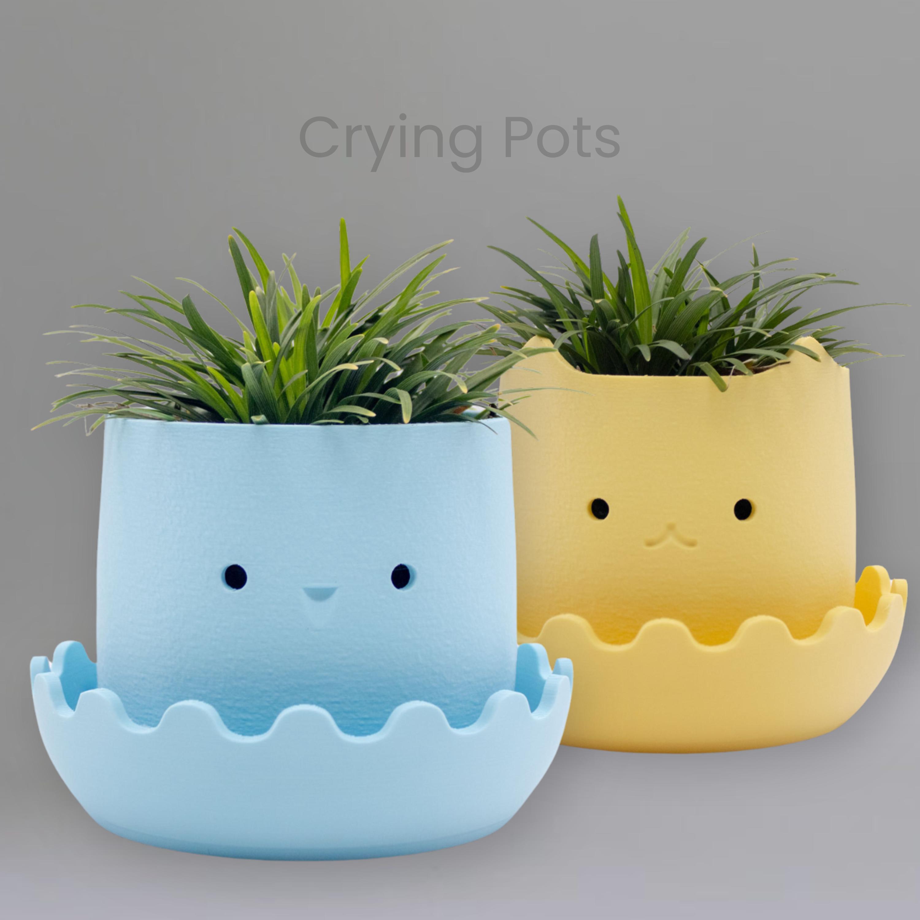 3D Printed Planter - Crying Pots for Indoor and Outdoor Plants - Happy ...