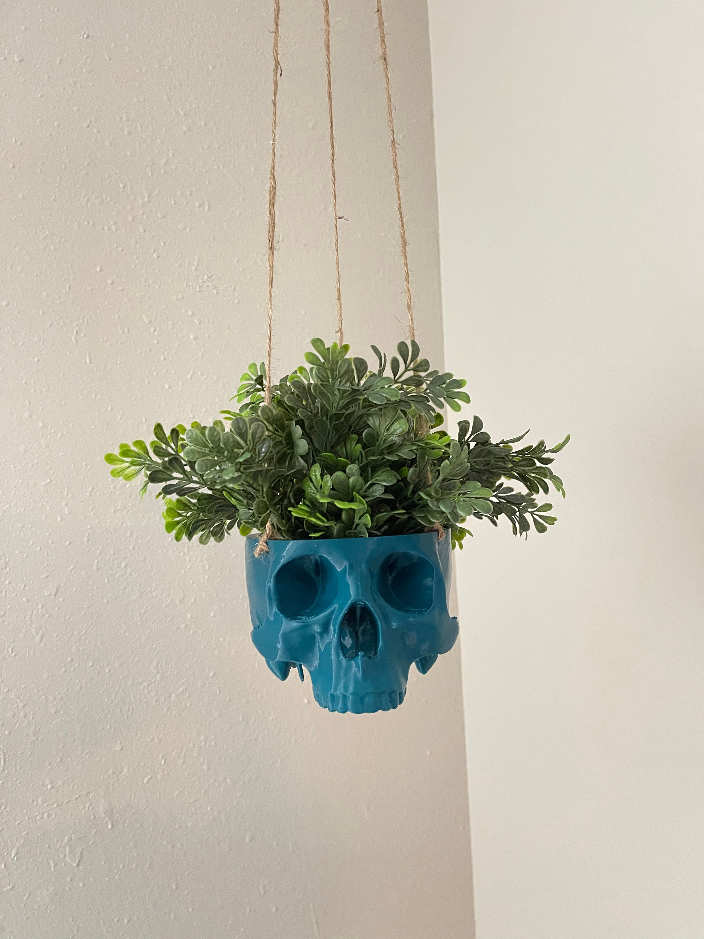 Indoor Planters Hanging Skull Planter - Etsy